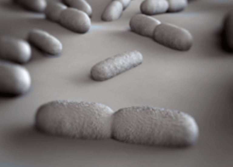 Listeria Is Not Rare. It Is Persistent. | QACSFOOD